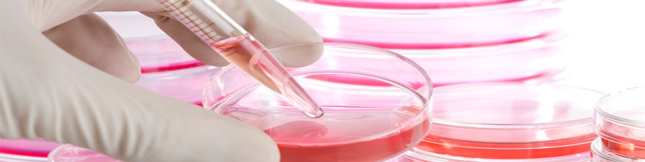 Understanding Cell Encapsulation, How It Can Benefit Medicine | Sasha ...